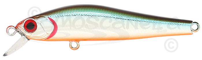 Воблеры ZipBaits - Rigge 56: описание, цена, оптовые продажи